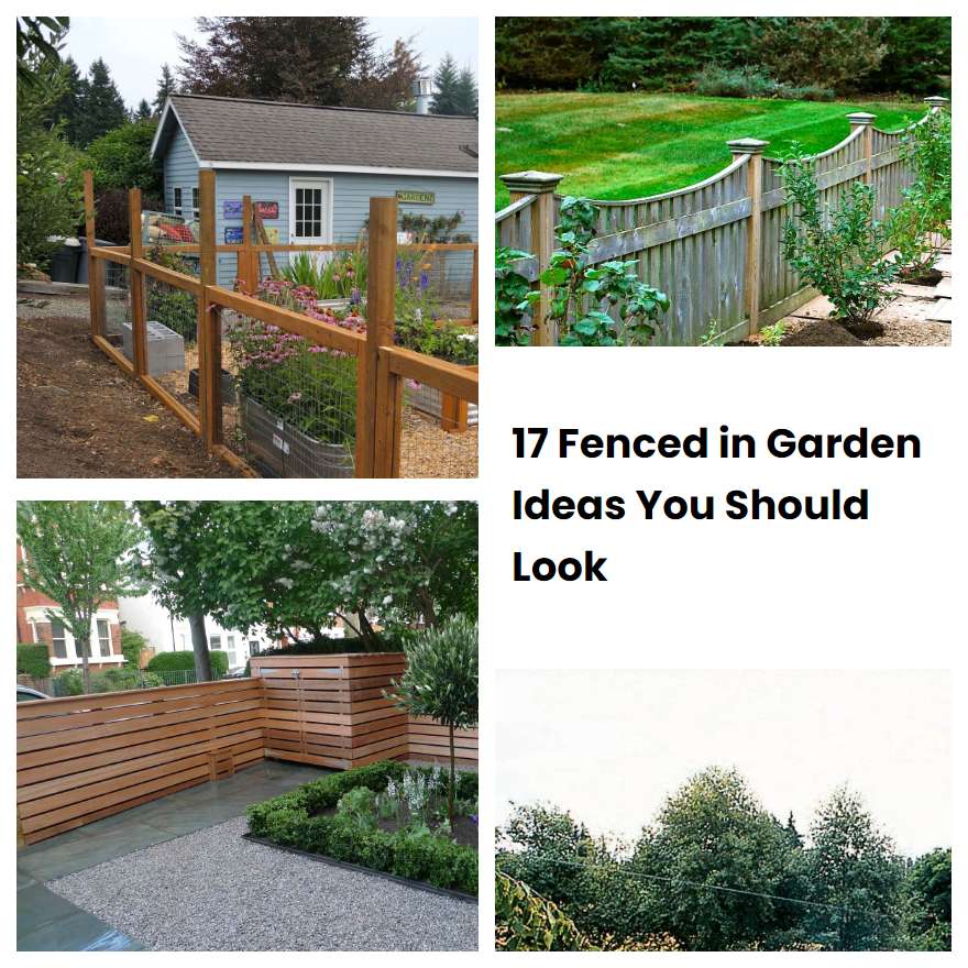 17 Fenced in Garden Ideas You Should Look | SharonSable