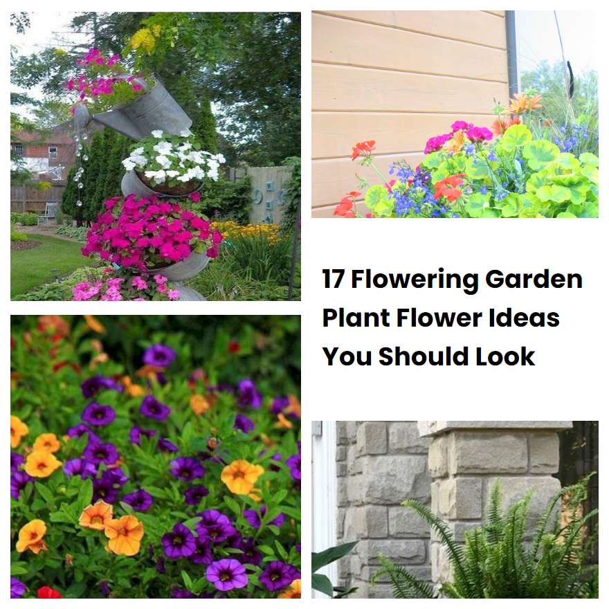 17 Flowering Garden Plant Flower Ideas You Should Look | SharonSable