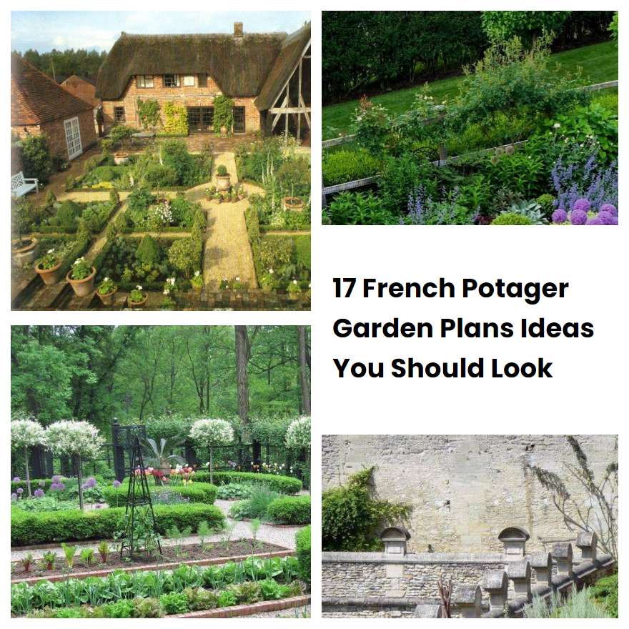 17 French Potager Garden Plans Ideas You Should Look | SharonSable