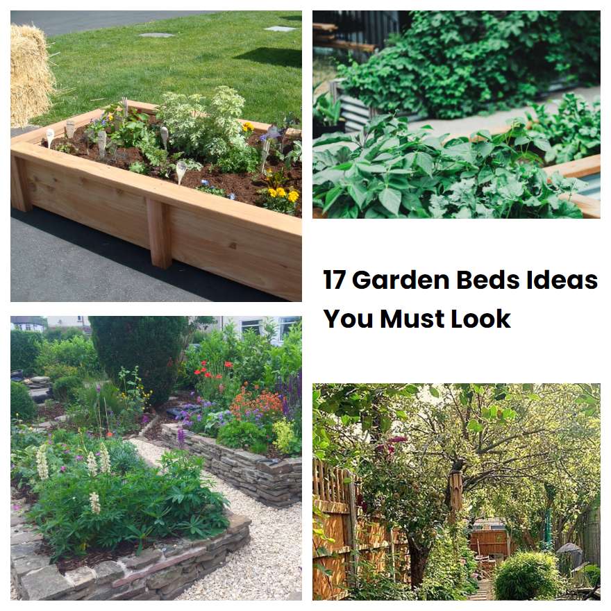 17 Garden Beds Ideas You Must Look | SharonSable