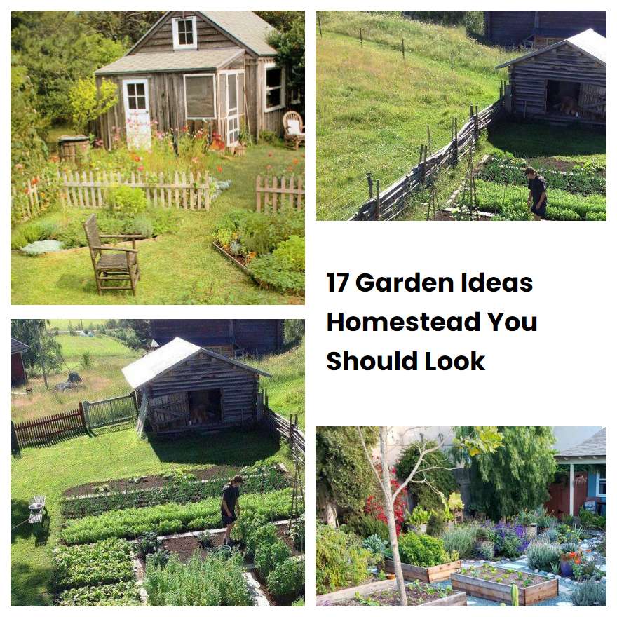 17 Garden Ideas Homestead You Should Look | SharonSable