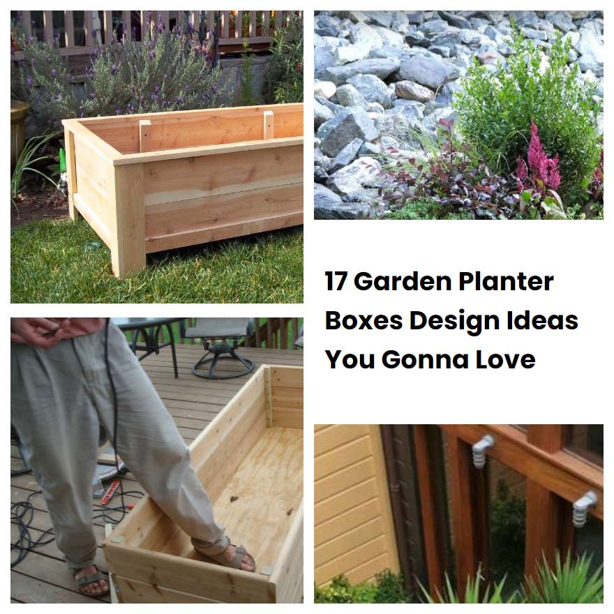 17 Garden Planter Boxes Design Ideas You Gonna Love | SharonSable