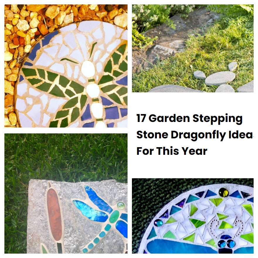 17 Garden Stepping Stone Dragonfly Ideas For This Year | SharonSable