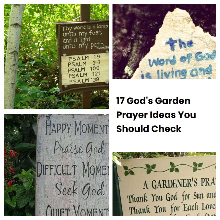 17 Gods Garden Prayer Ideas You Should Check | SharonSable