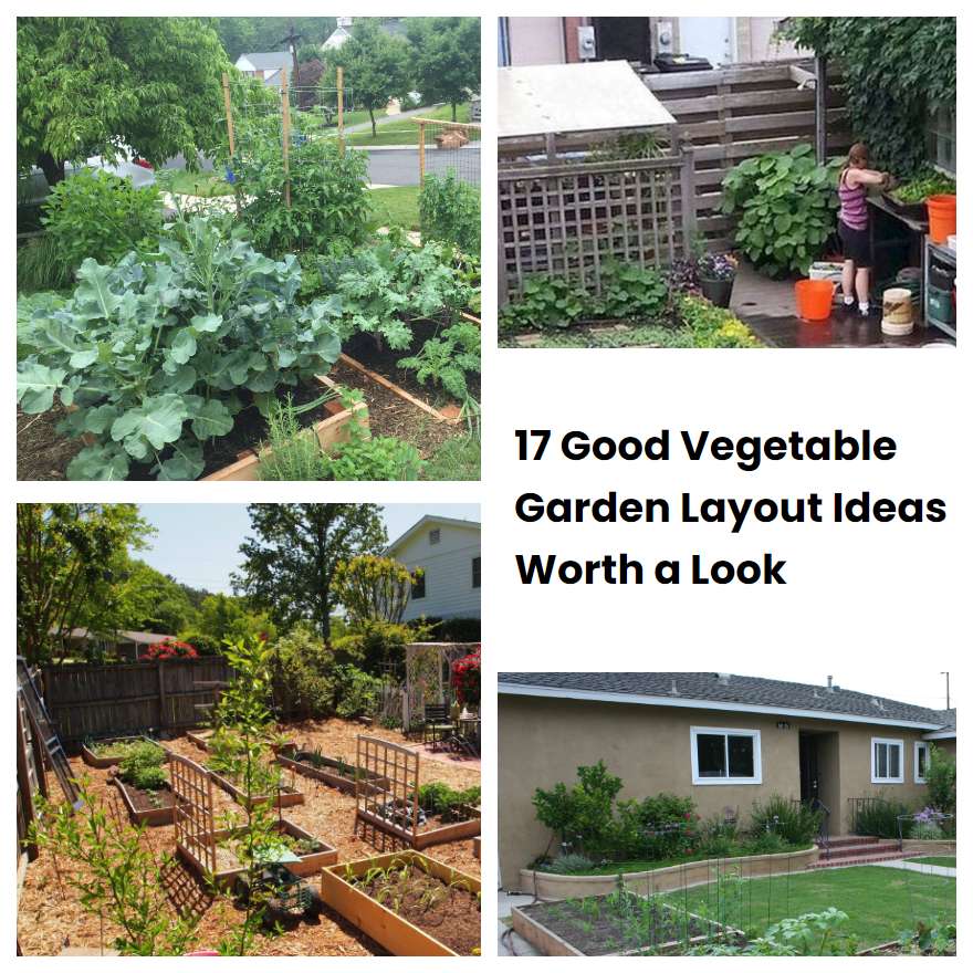 17 Good Vegetable Garden Layout Ideas Worth a Look | SharonSable