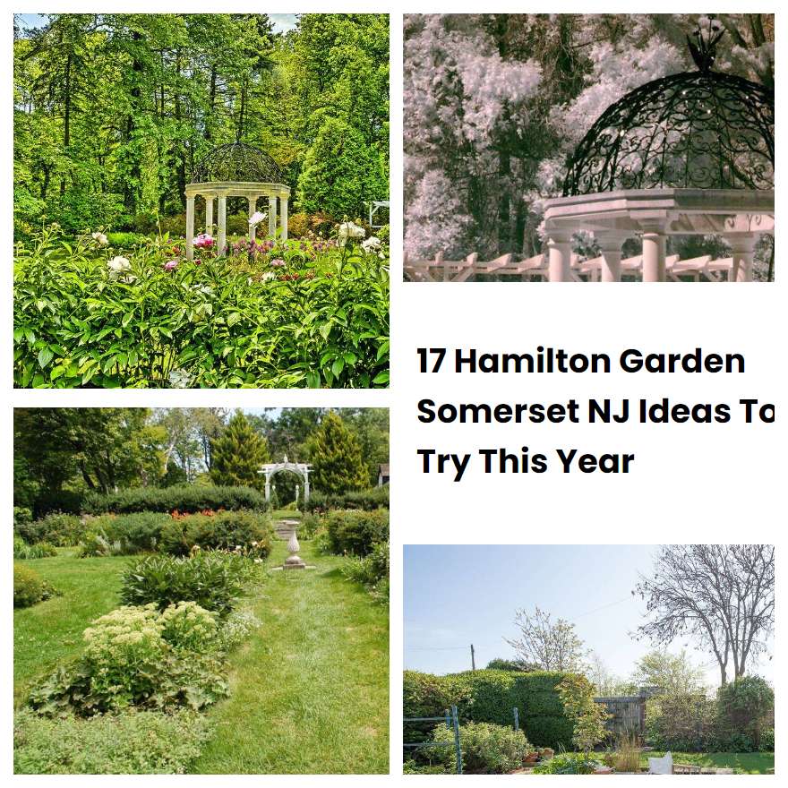 17 Hamilton Garden Somerset NJ Ideas To Try This Year | SharonSable