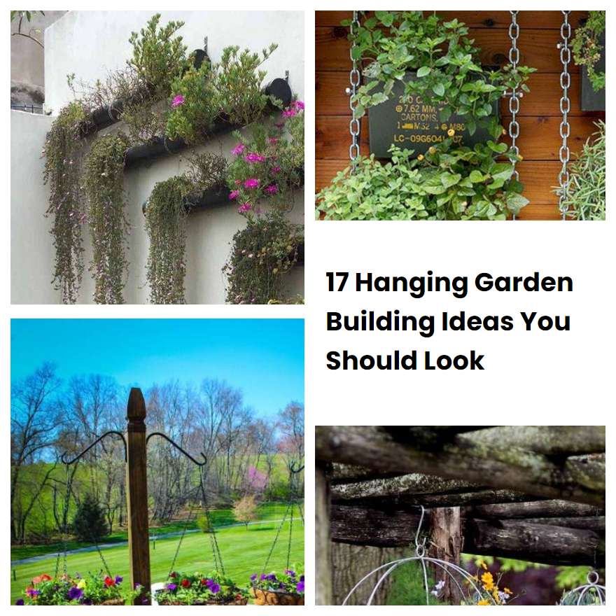 17 Hanging Garden Building Ideas You Should Look | SharonSable