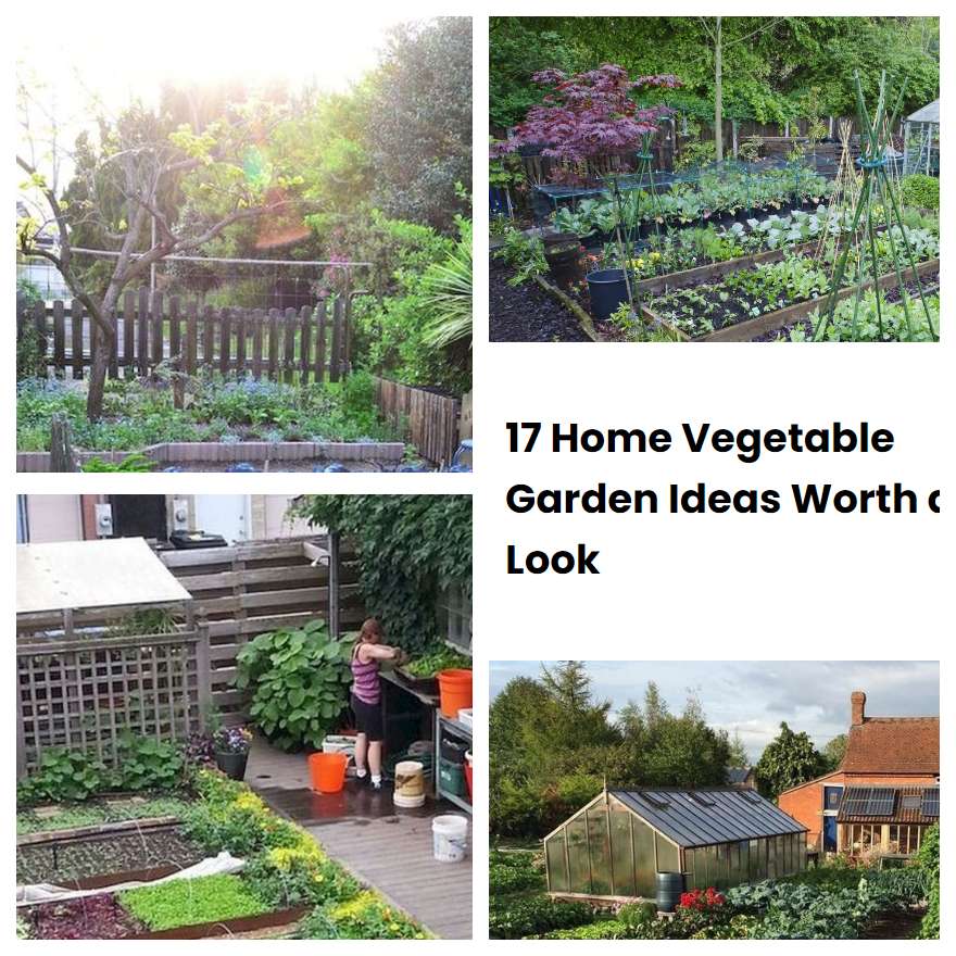 17 Home Vegetable Garden Ideas Worth A Look Sharonsable