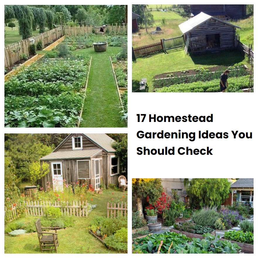 17 Homestead Gardening Ideas You Should Check | SharonSable