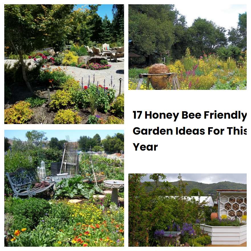 17 Honey Bee Friendly Garden Ideas For This Year | SharonSable