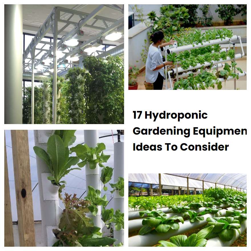 17 Hydroponic Gardening Equipment Ideas To Consider | SharonSable
