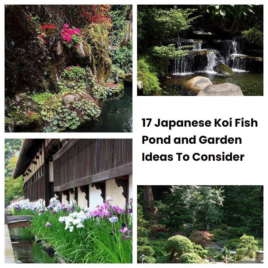 17 Japanese Koi Fish Pond and Garden Ideas To Consider | SharonSable