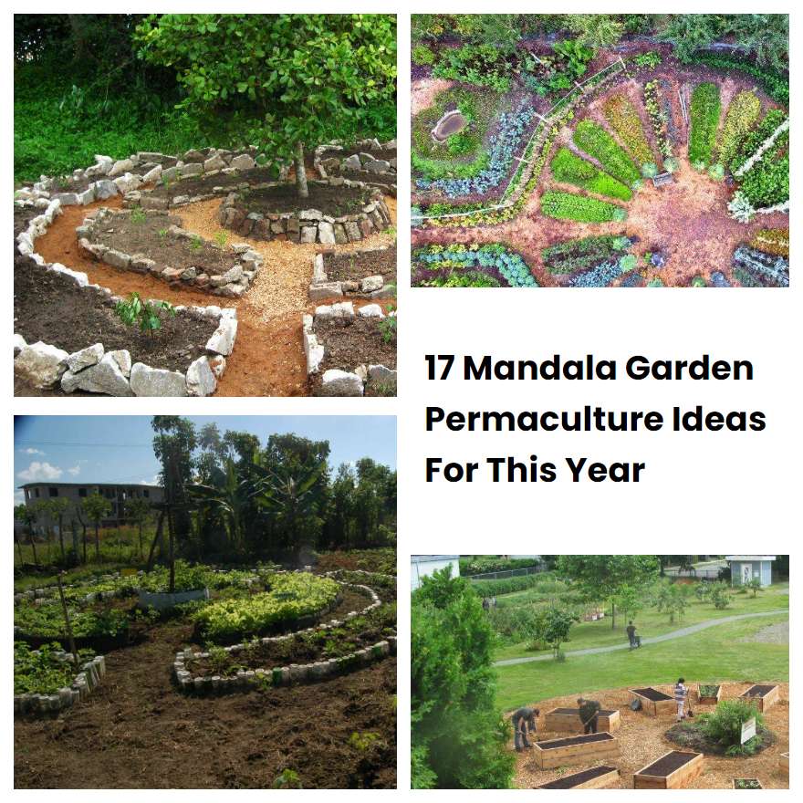 17 Mandala Garden Permaculture Ideas For This Year | SharonSable