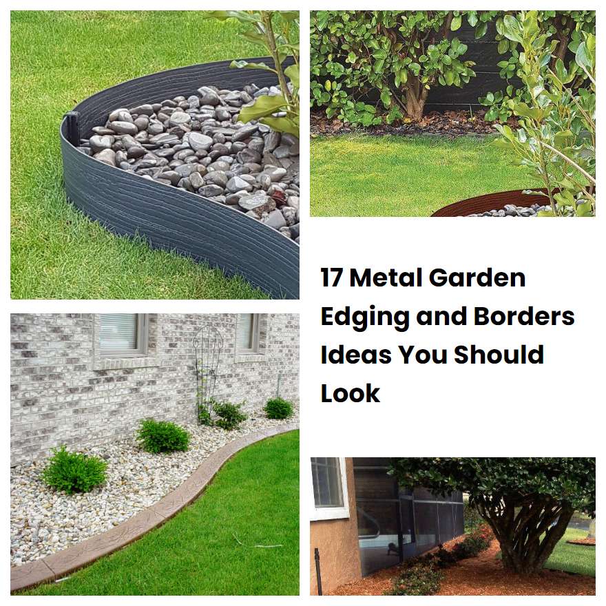 17 Metal Garden Edging and Borders Ideas You Should Look | SharonSable