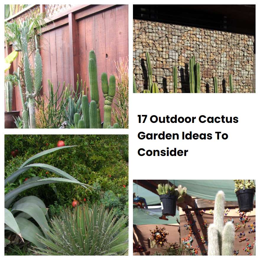 17 Outdoor Cactus Garden Ideas To Consider | SharonSable