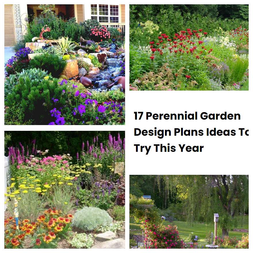 17 Perennial Garden Design Plans Ideas To Try This Year | SharonSable