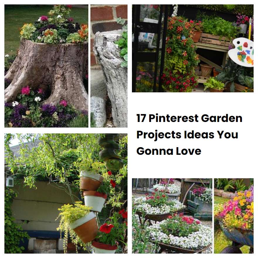 17 Pinterest Garden Projects Ideas You Gonna Love | SharonSable