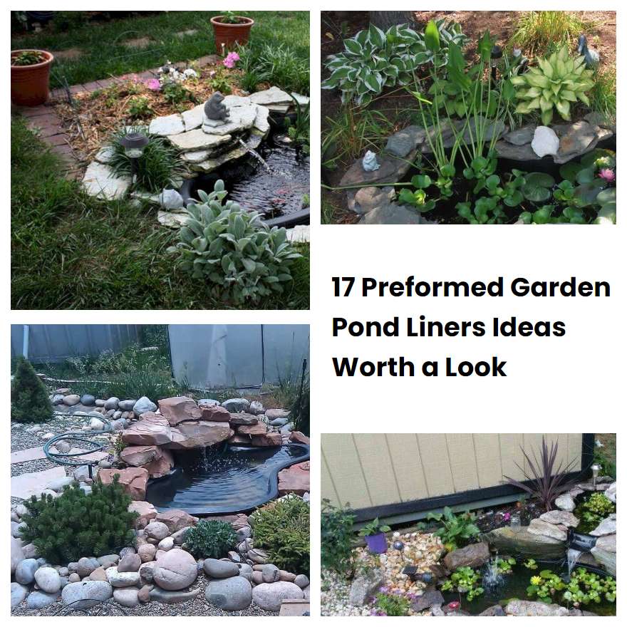 17 Preformed Garden Pond Liners Ideas Worth a Look | SharonSable
