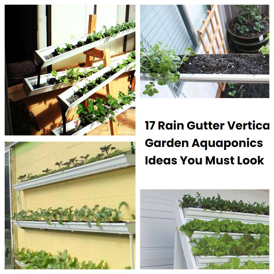 17 Rain Gutter Vertical Garden Aquaponics Ideas You Must Look | SharonSable