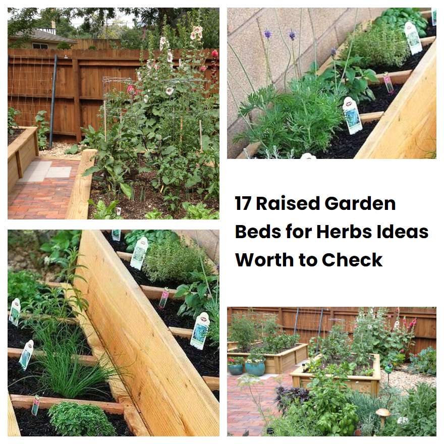 17 Raised Garden Beds for Herbs Ideas Worth to Check | SharonSable