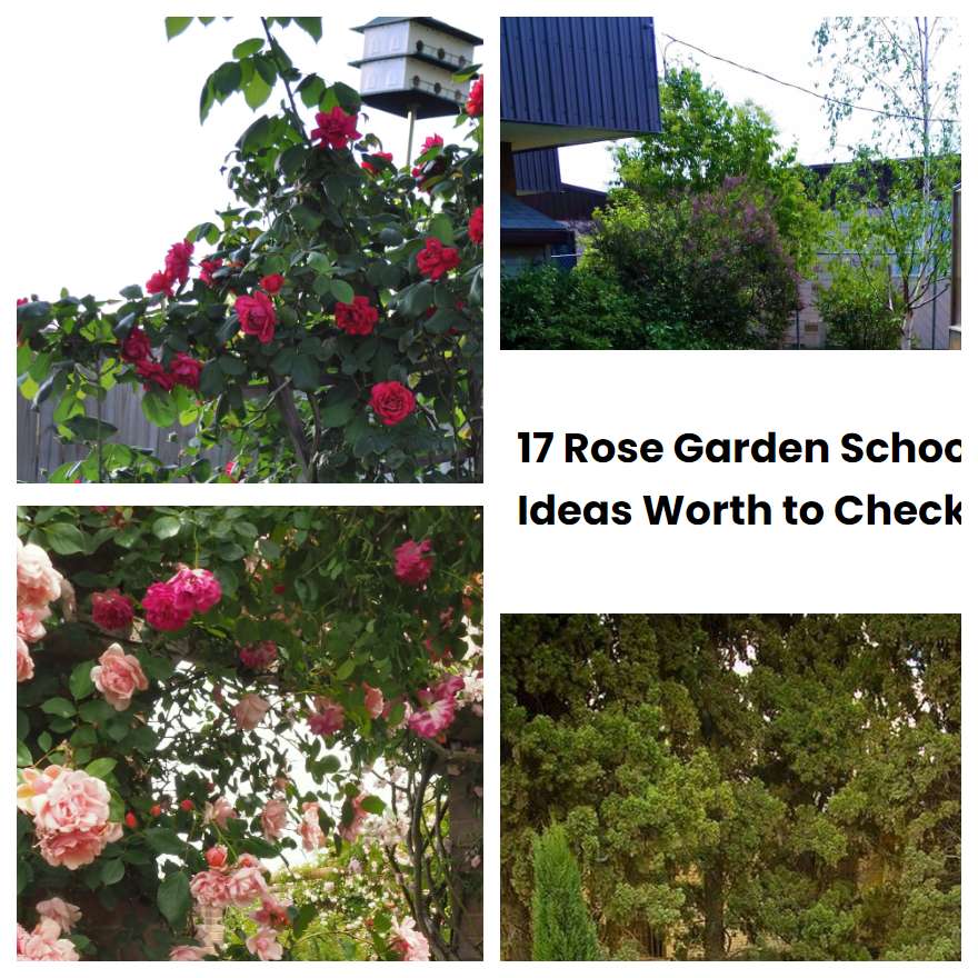 17 Rose Garden School Ideas Worth To Check Sharonsable