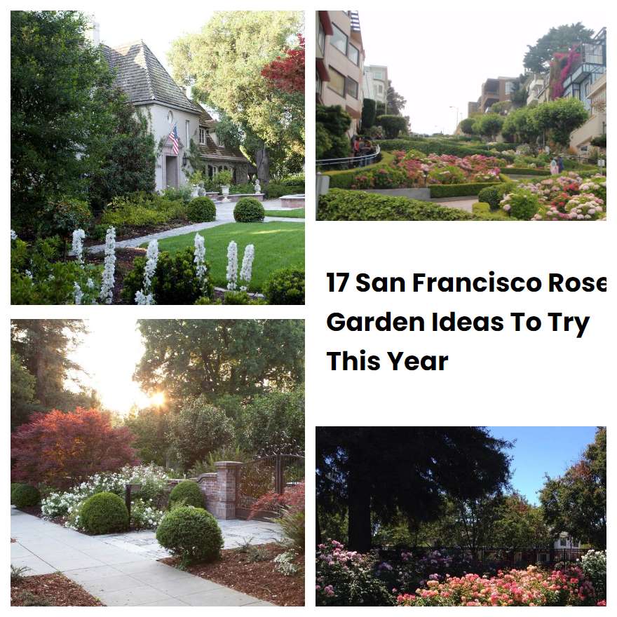 17 San Francisco Rose Garden Ideas To Try This Year | SharonSable