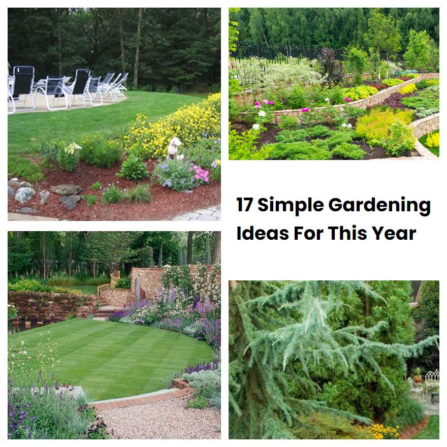 17 Simple Gardening Ideas For This Year | SharonSable