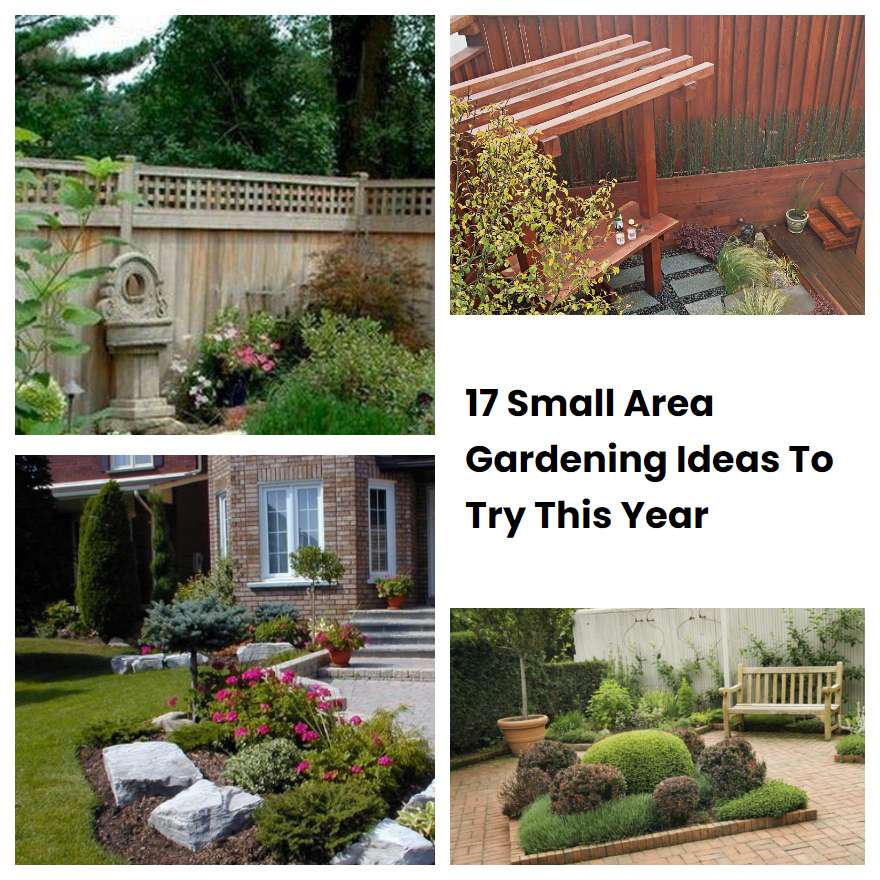 17 Small Area Gardening Ideas To Try This Year | SharonSable