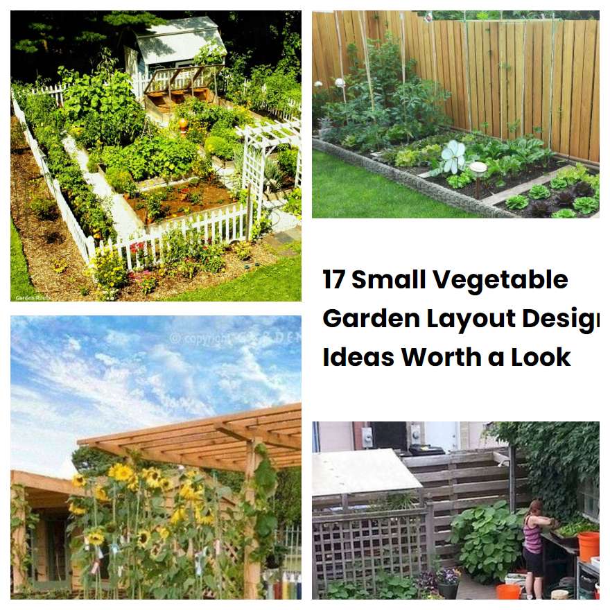 17 Small Vegetable Garden Layout Design Ideas Worth a Look | SharonSable