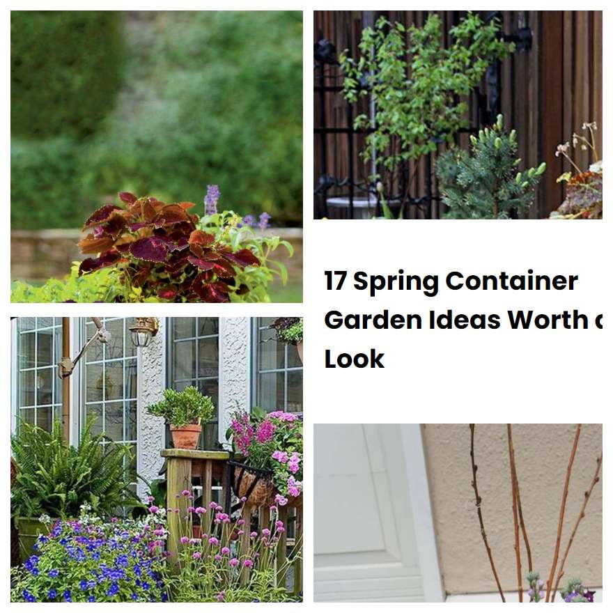 17 Spring Container Garden Ideas Worth a Look | SharonSable