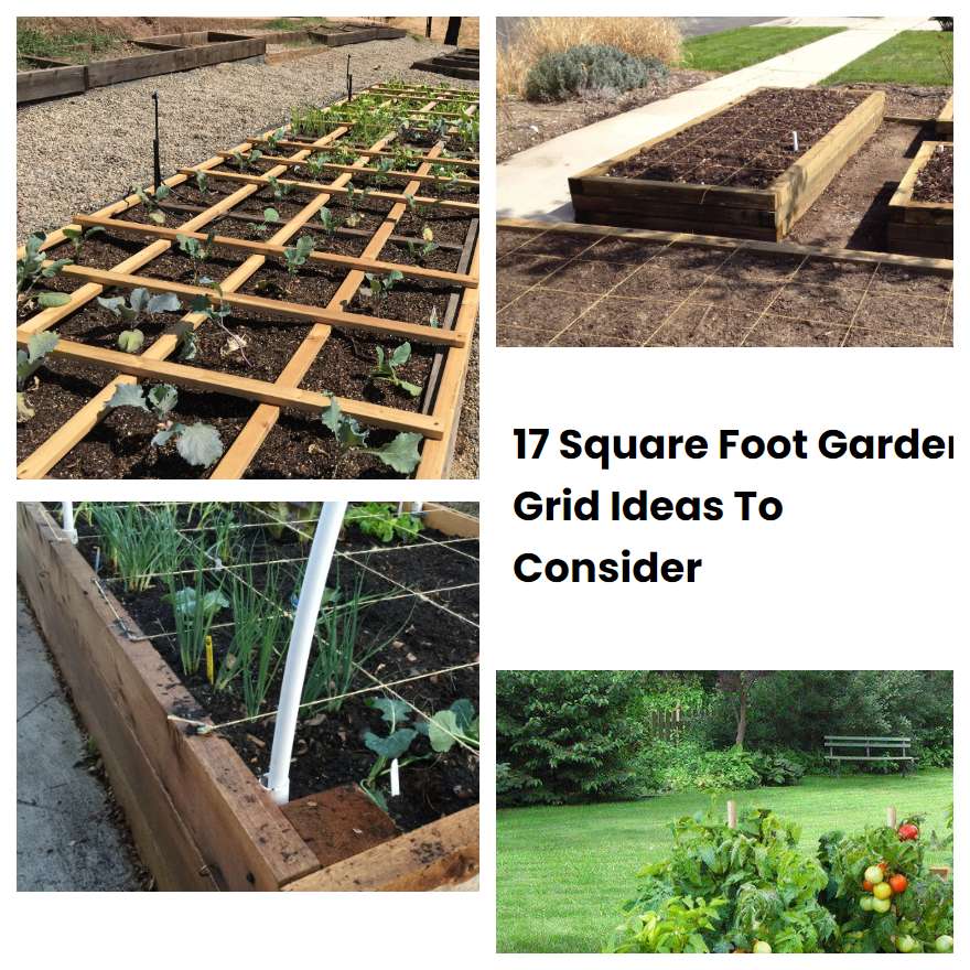 17 Square Foot Garden Grid Ideas To Consider | SharonSable