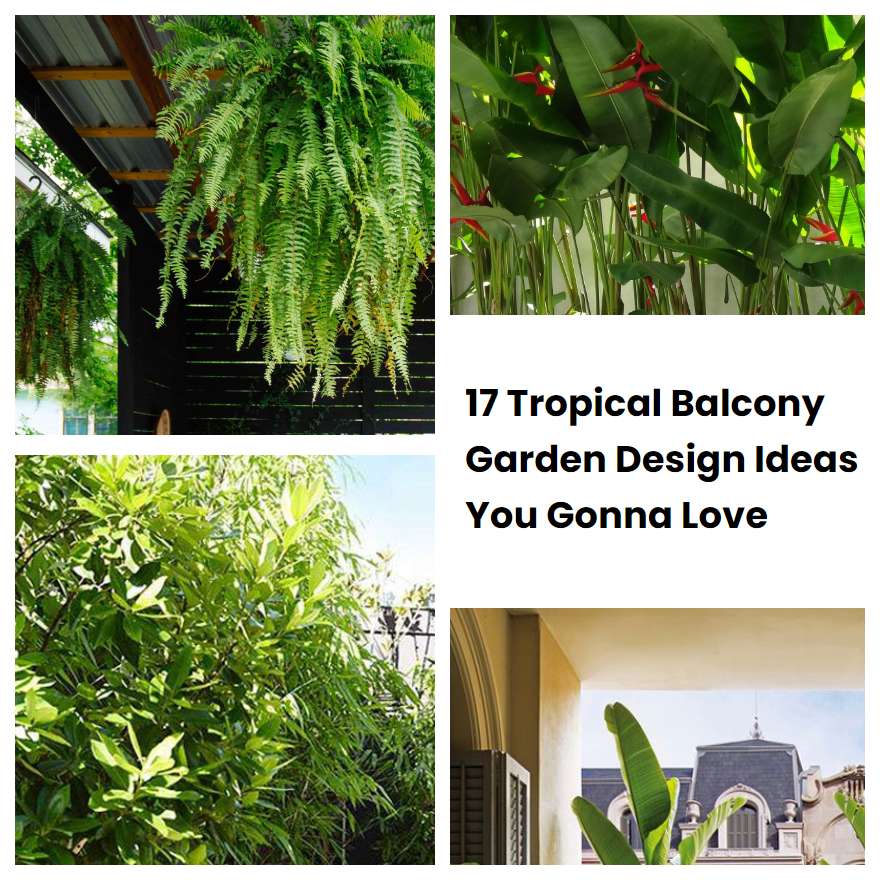 17 Tropical Balcony Garden Design Ideas You Gonna Love | SharonSable