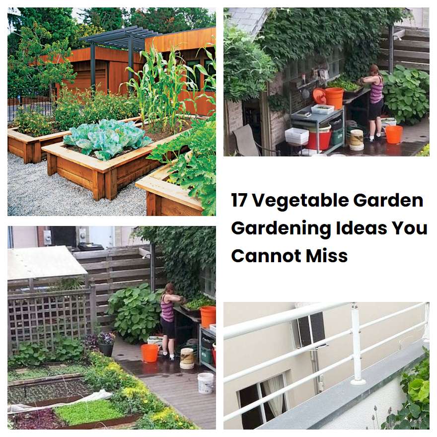 17 Vegetable Garden Gardening Ideas You Cannot Miss | SharonSable