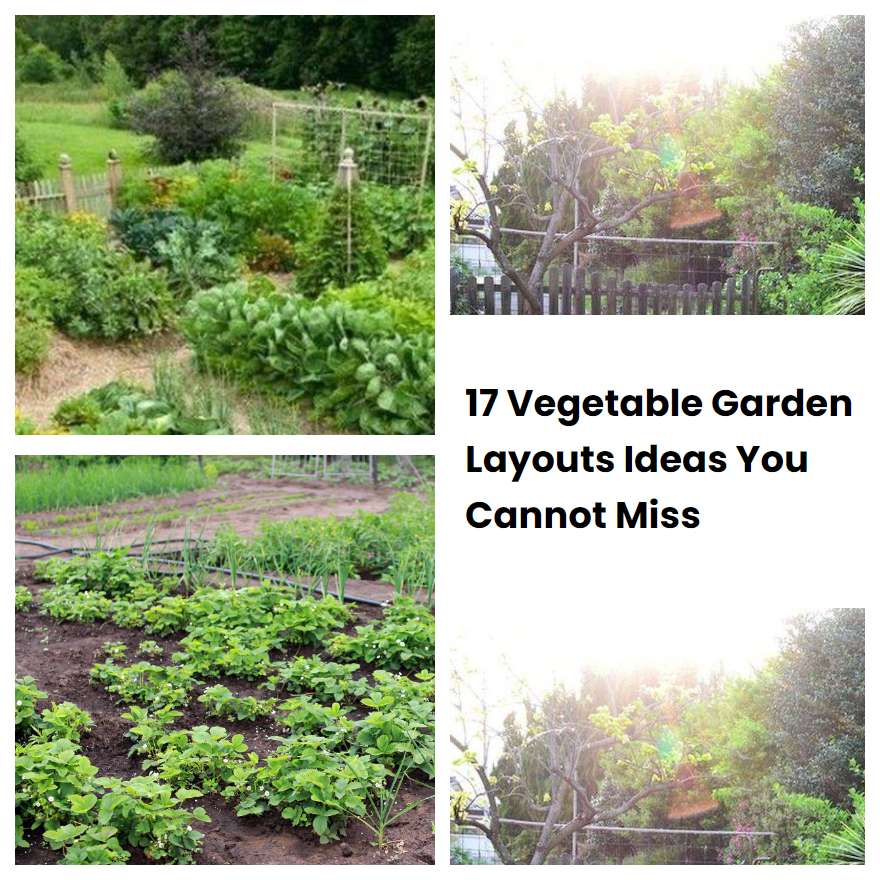 17 Vegetable Garden Layouts Ideas You Cannot Miss | SharonSable