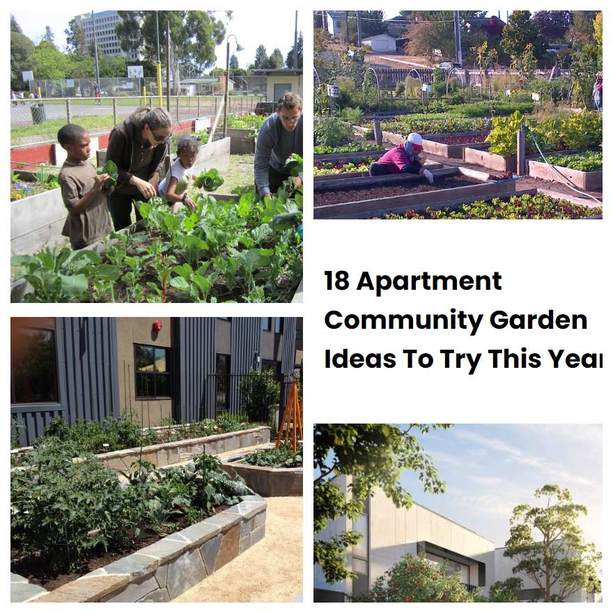 18 Apartment Community Garden Ideas To Try This Year | SharonSable