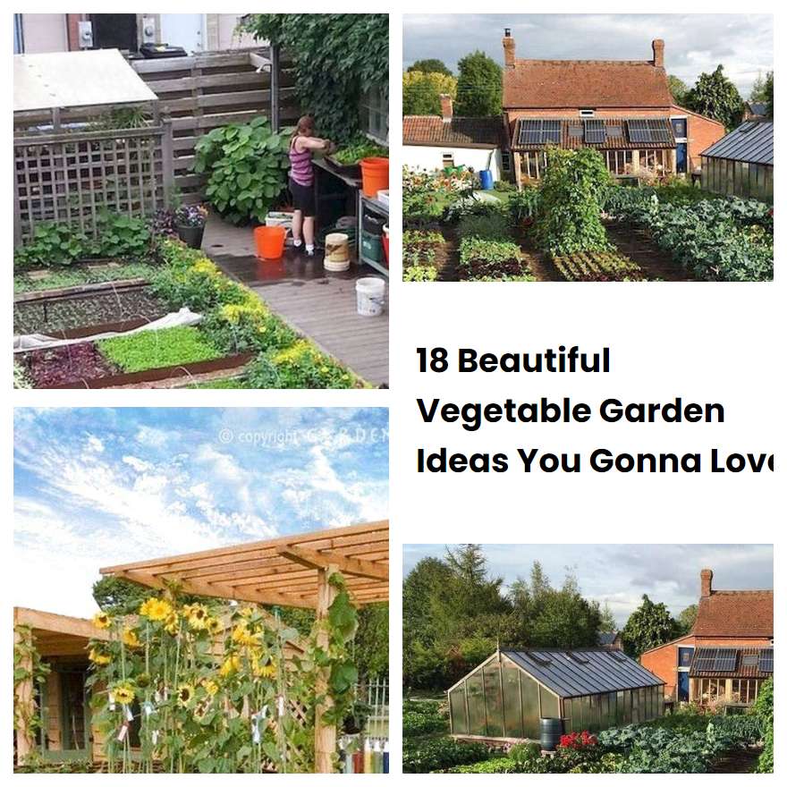 18 Beautiful Vegetable Garden Ideas You Gonna Love | SharonSable