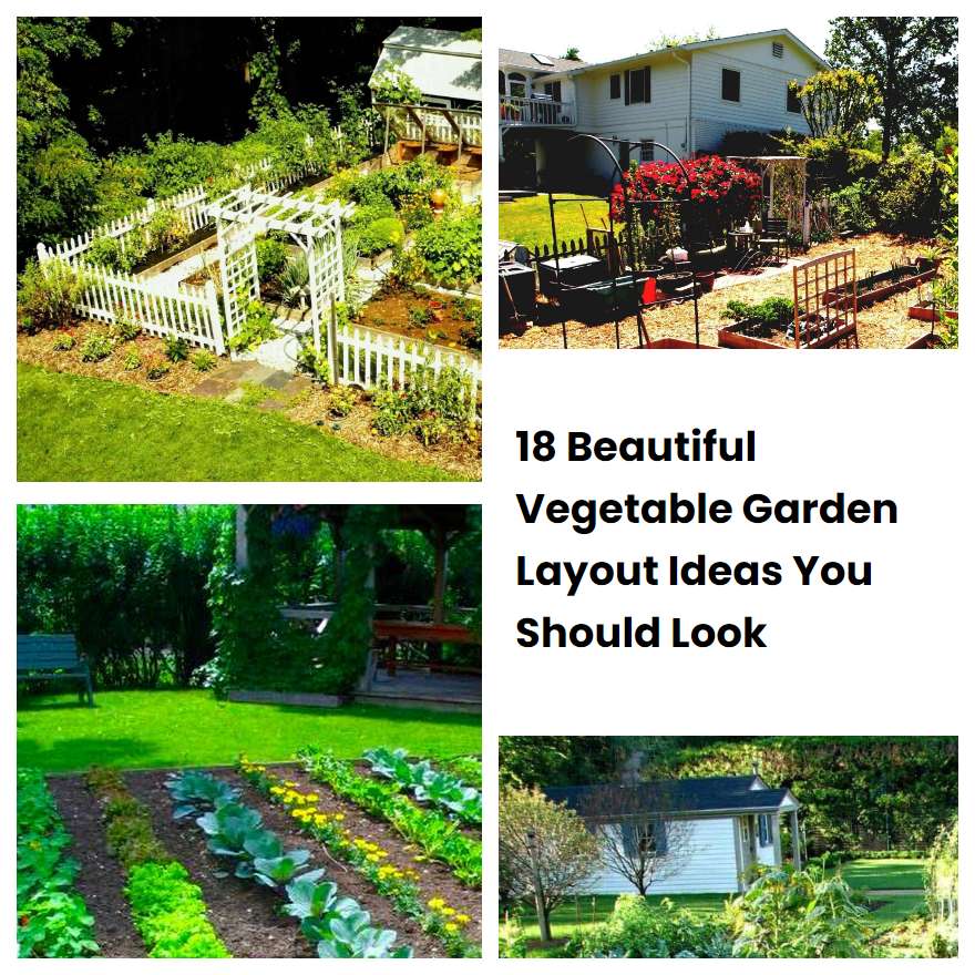18 Beautiful Vegetable Garden Layout Ideas You Should Look | SharonSable
