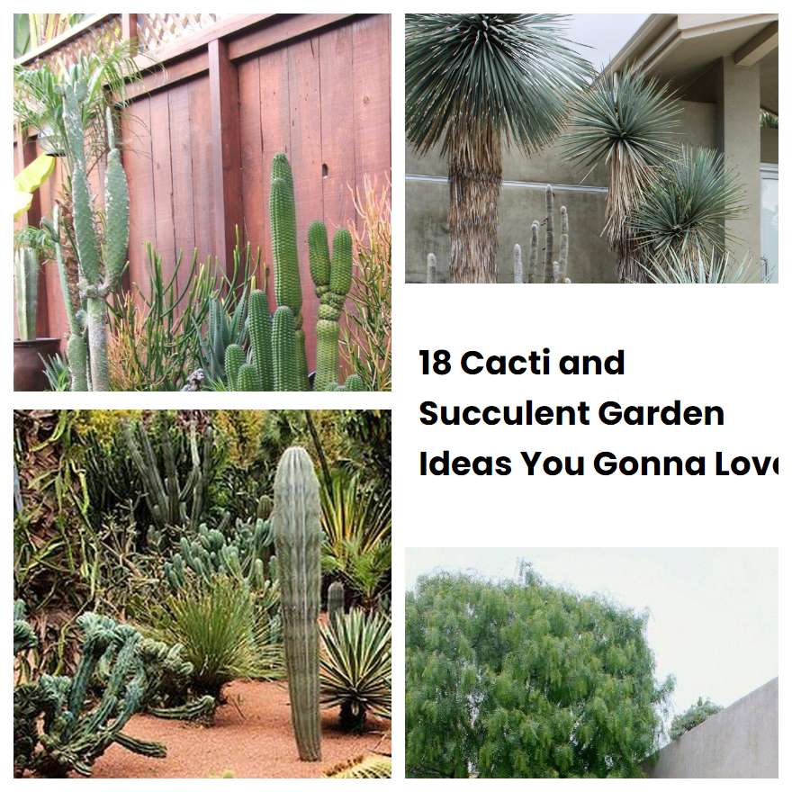 18 Cacti and Succulent Garden Ideas You Gonna Love | SharonSable