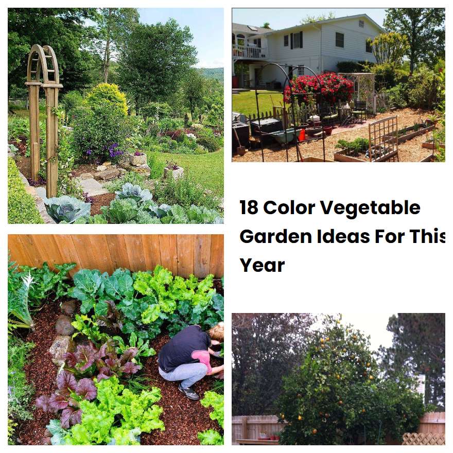 18 Color Vegetable Garden Ideas For This Year | SharonSable