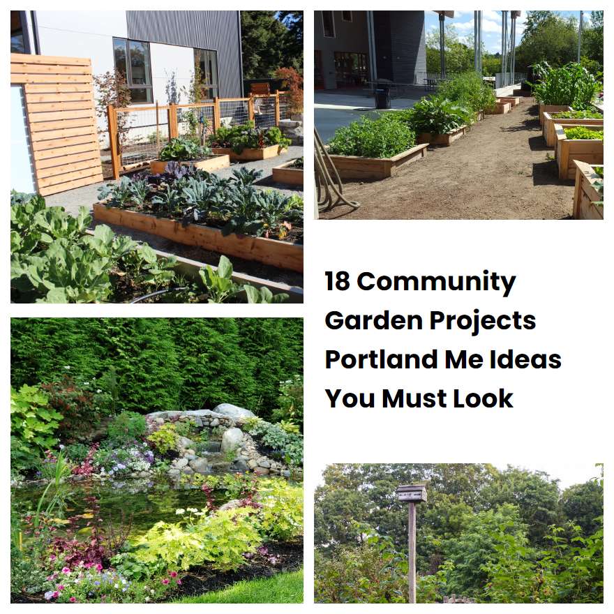 18 Community Garden Projects Portland Me Ideas You Must Look | SharonSable