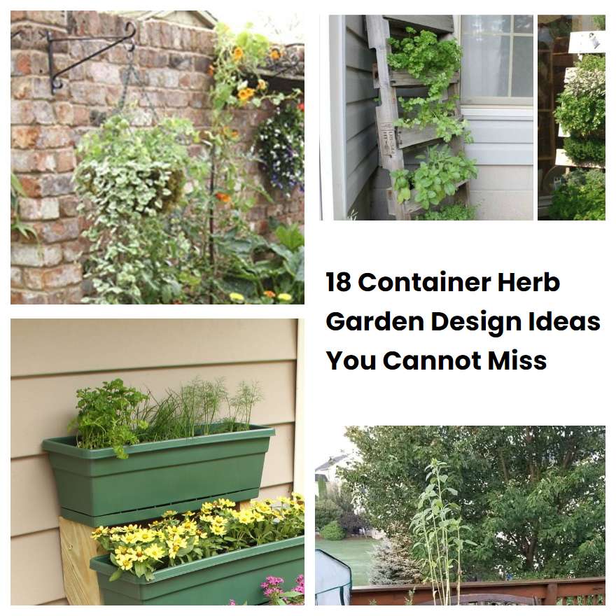 18 Container Herb Garden Design Ideas You Cannot Miss | SharonSable