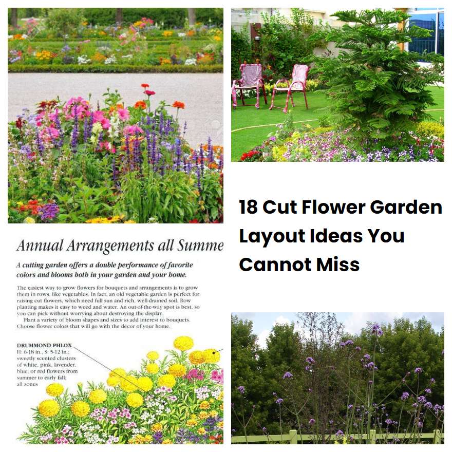 18 Cut Flower Garden Layout Ideas You Cannot Miss | SharonSable