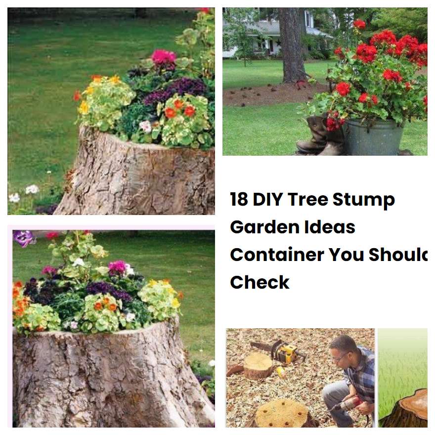 18 DIY Tree Stump Garden Ideas Container You Should Check | SharonSable