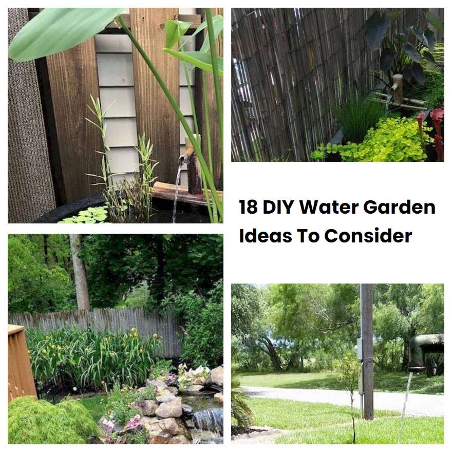 18 DIY Water Garden Ideas To Consider | SharonSable
