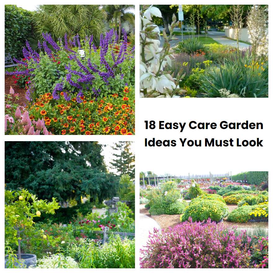 18 Easy Care Garden Ideas You Must Look | SharonSable
