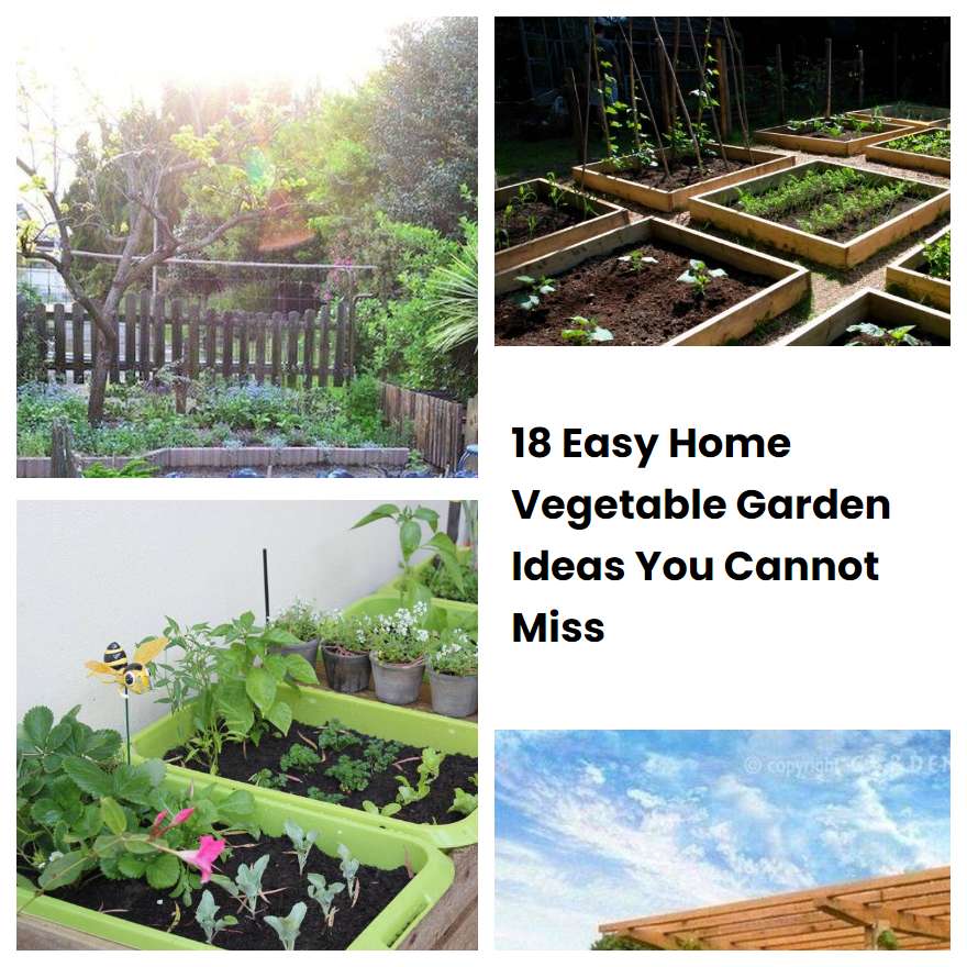 18 Easy Home Vegetable Garden Ideas You Cannot Miss | SharonSable