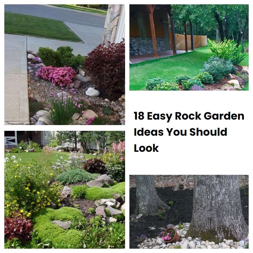 18 Easy Rock Garden Ideas You Should Look | SharonSable