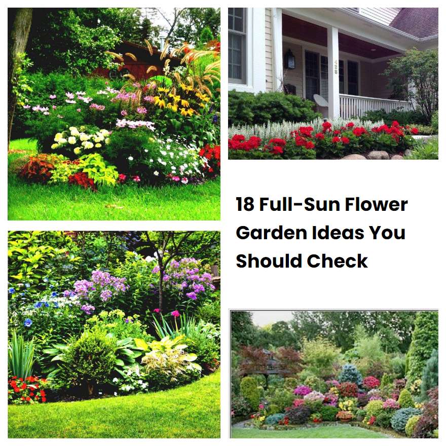 18 Full-Sun Flower Garden Ideas You Should Check | SharonSable
