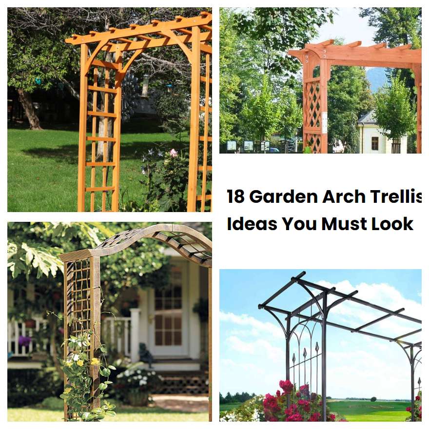 18 Garden Arch Trellis Ideas You Must Look | SharonSable