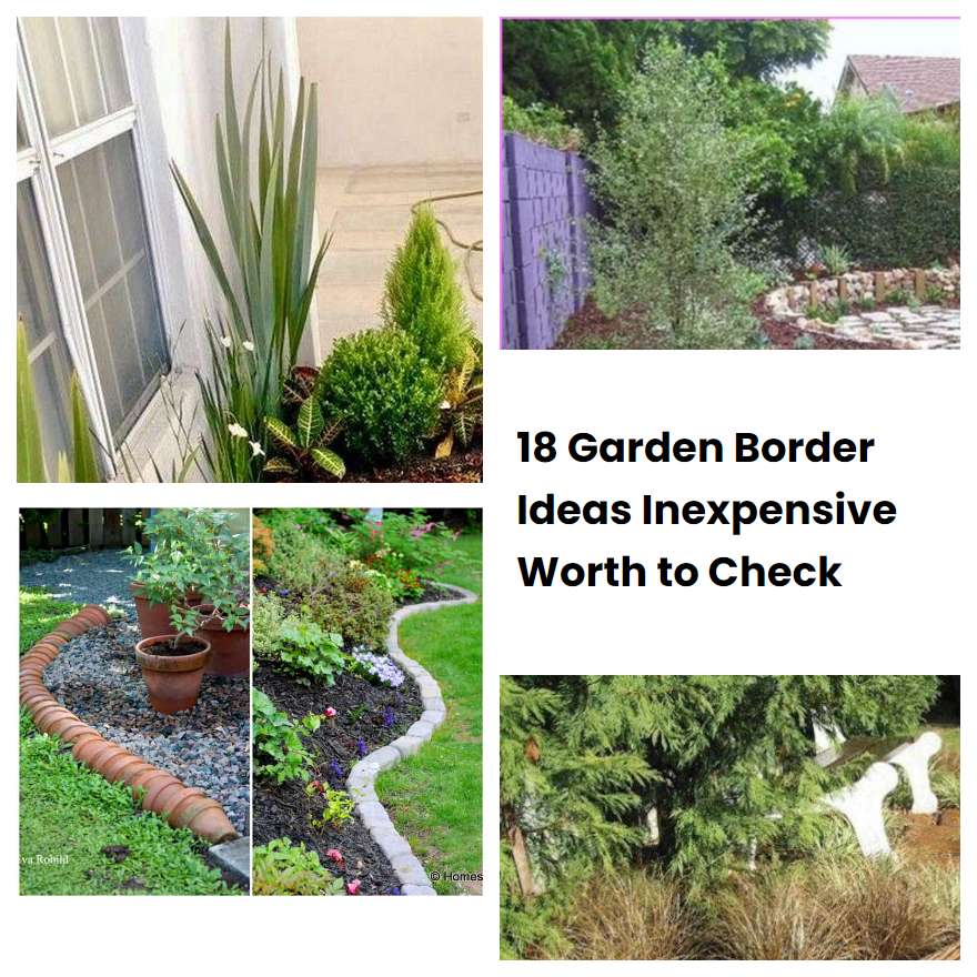 18 Garden Border Ideas Inexpensive Worth to Check | SharonSable